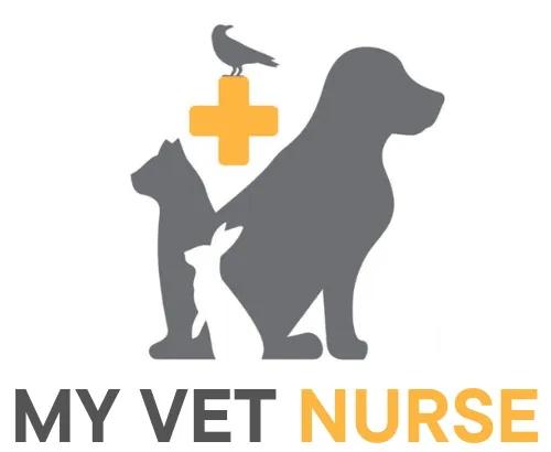 Cat Grooming & Mobile Vet Nurse Christchurch
